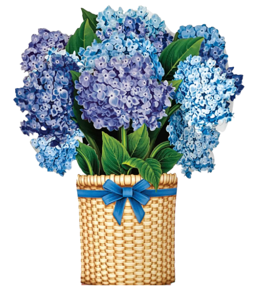 Freshcut Paper Gift Card - Nantucket Hydrangeas – Martha’s Little Shop